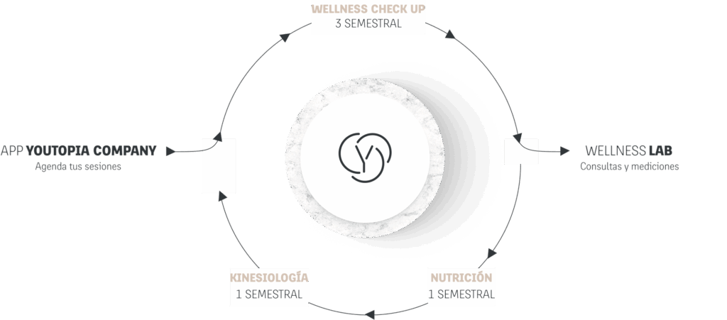 Ciclo Wellness - Youtopia CompanyYoutopia Company
